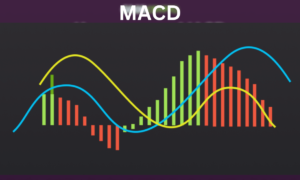 The Top Harmonic Trading Patterns Every Trader Should Know ...